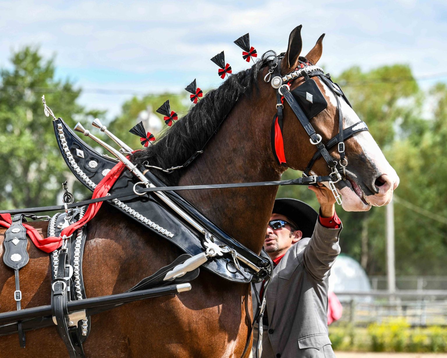 Triple Crown Draft Classic