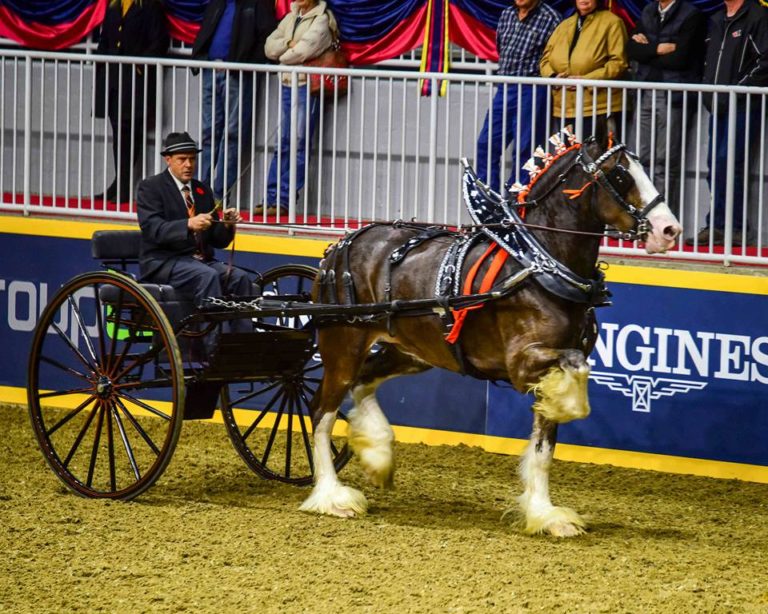 Triple Crown Draft Classic