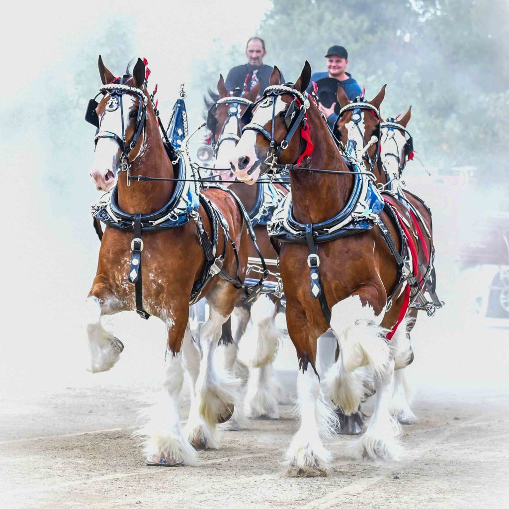 Triple Crown Draft Classic